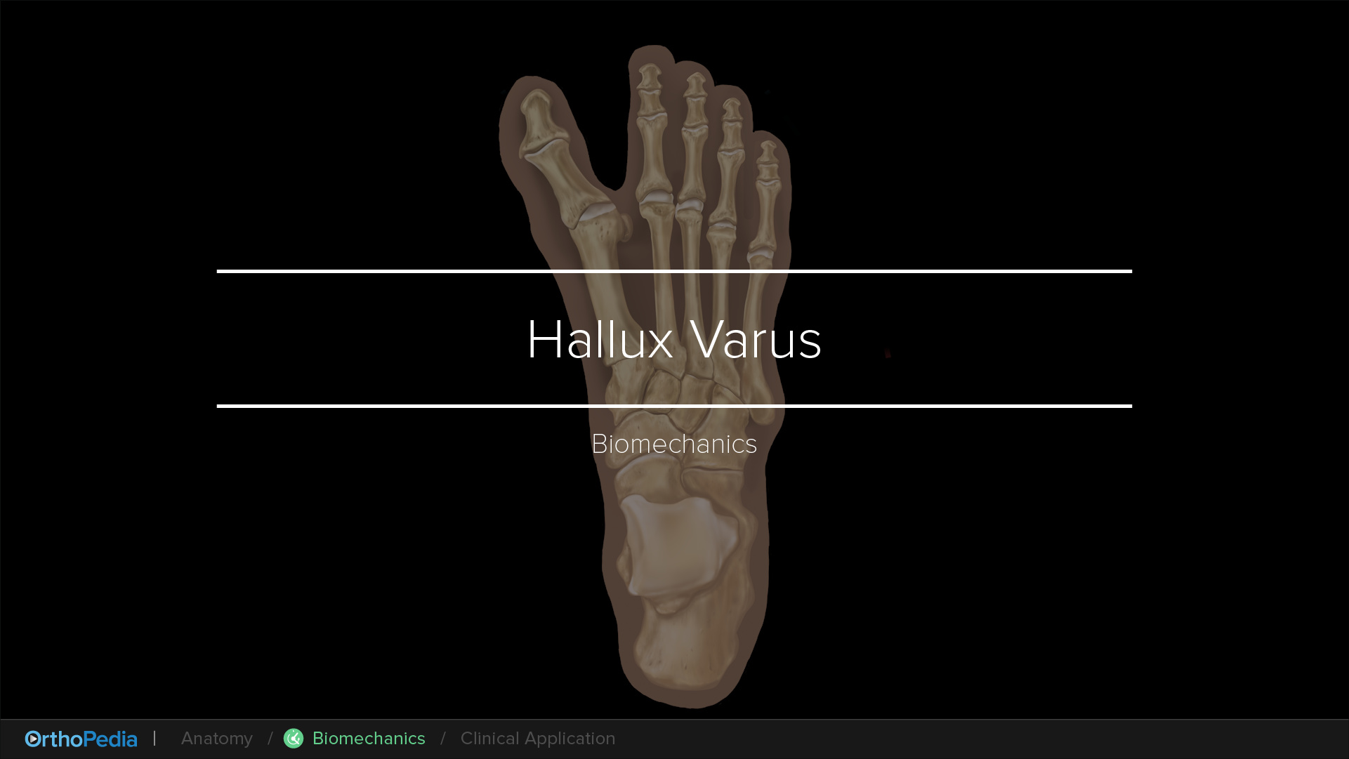 Biomechanics of the Foot With Hallux Varus Deformity
